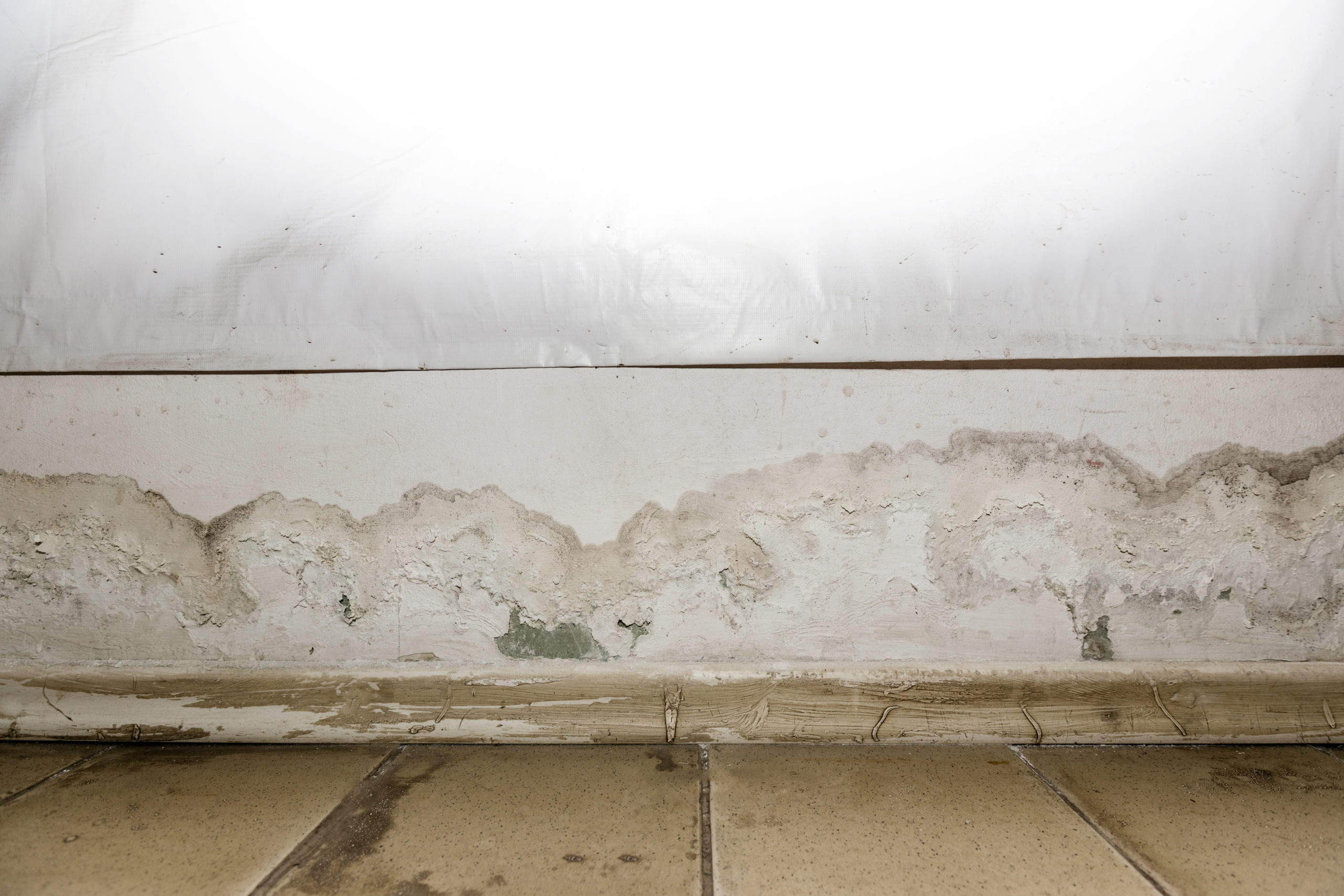 Fixing Common Basement Moisture Problems - DryMaster Basement Waterproofing